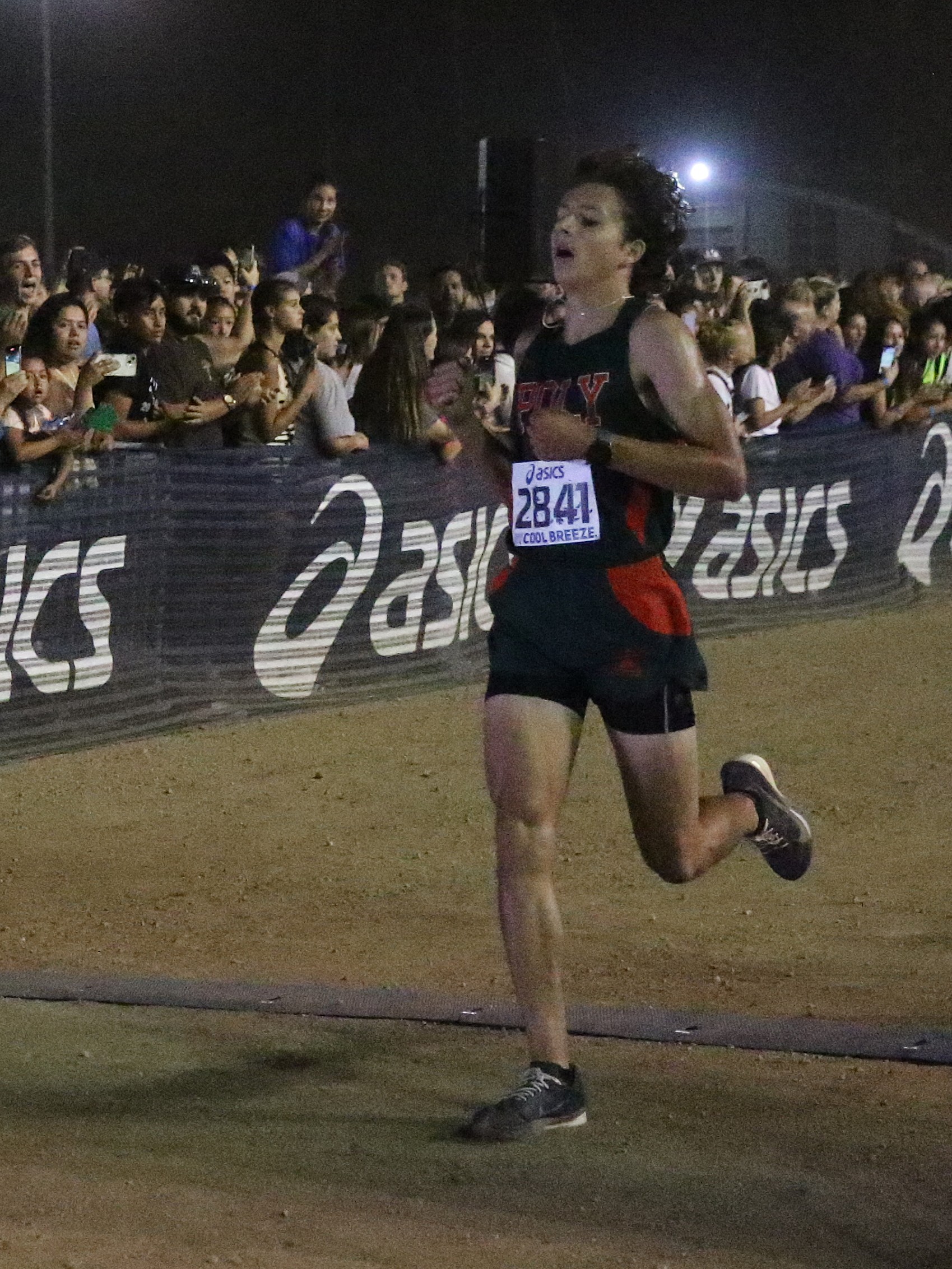 Finished Results - Article